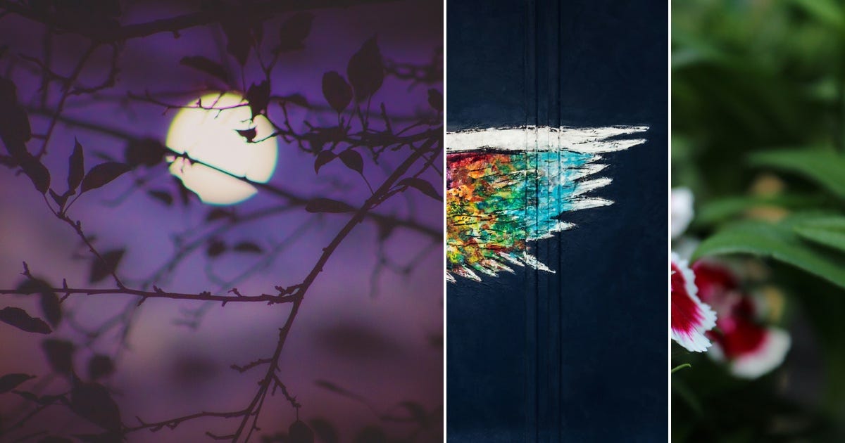 List: Poems For Ivy | Curated by H.H. James | Medium