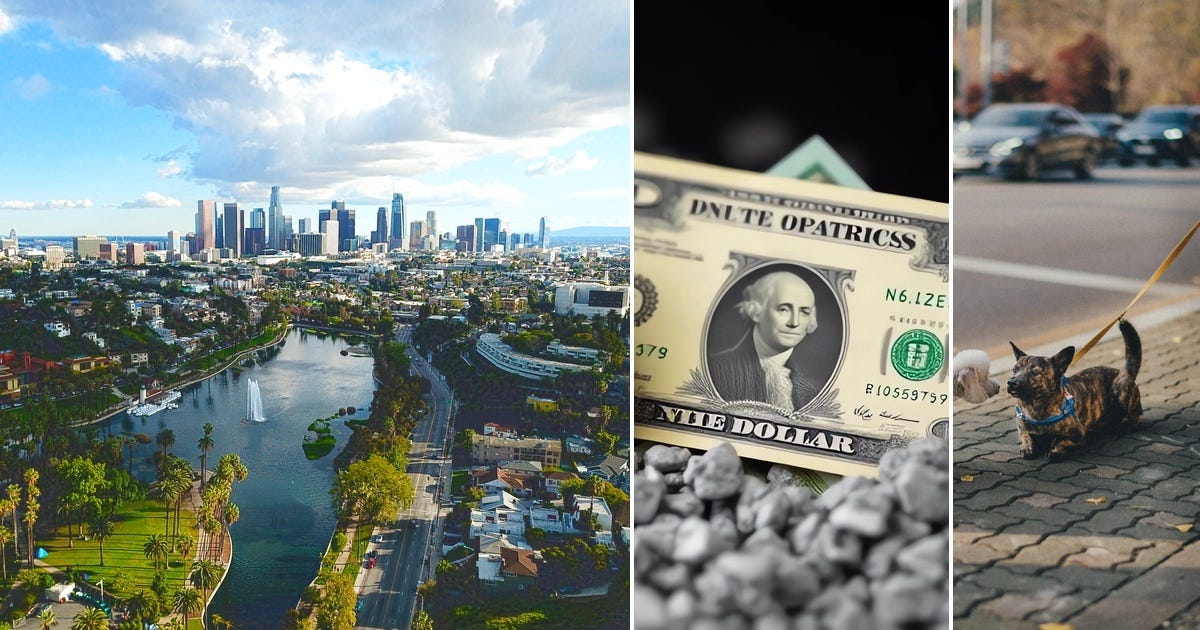 List: Gin | Curated by Brenda Andrina | Medium