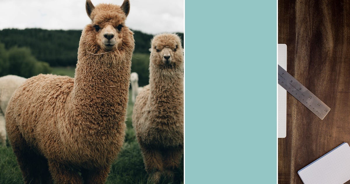 List: Imp python | Curated by Maheshwari Desai | Medium