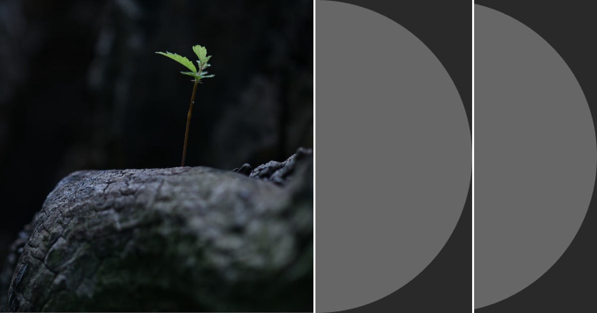 List: Poems by Roz Fleur | Curated by Rosemond Oremegue | Medium