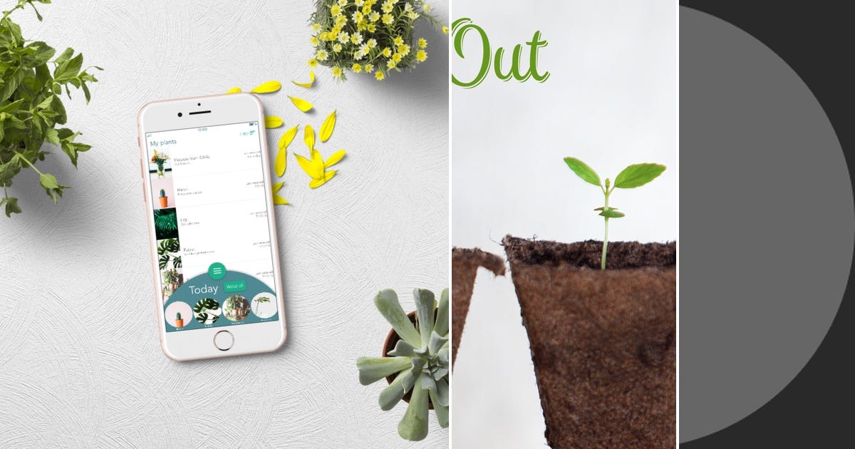 List: Plant Case Study | Curated by Syedeasin | Medium