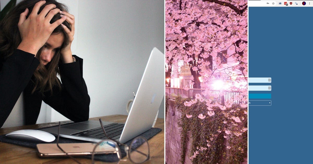 List: python | Curated by Royston Dmello | Medium