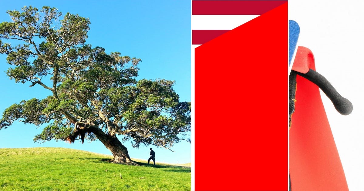 List: Family History Poetry | Curated by John Newmark | Medium