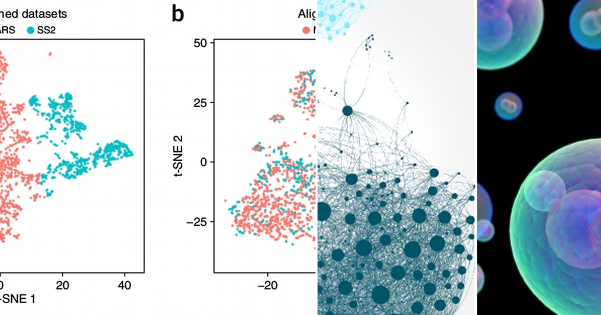 List: Bioinformatics | Curated by Damog | Medium