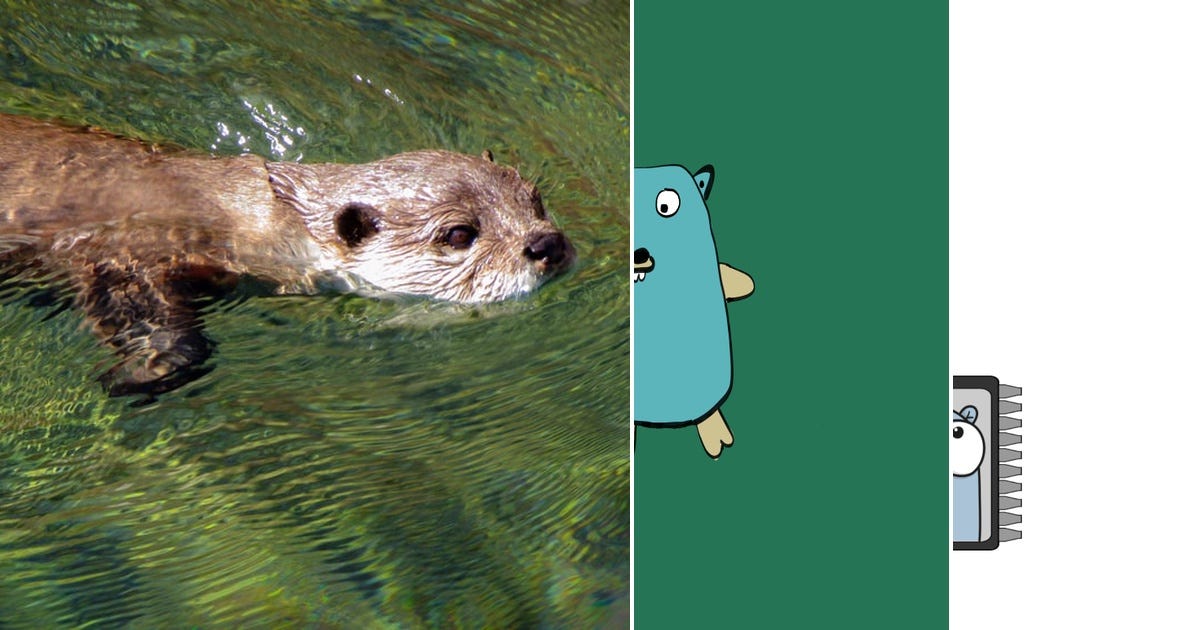 List: Golang Hack | Curated by Mathieu Bachmann | Medium