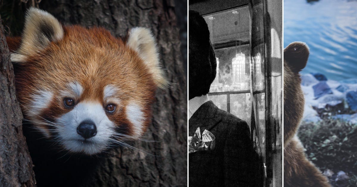 List: Risk Analysis | Curated by Leon Cai | Medium