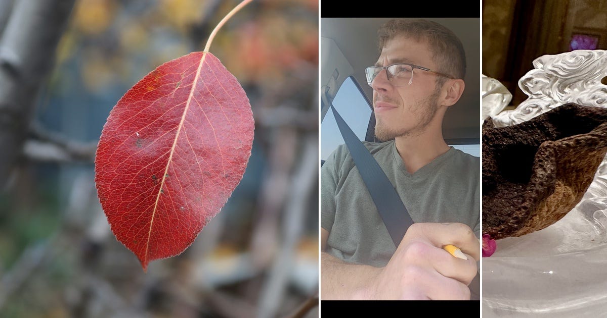 List: Poetry | Curated by Red Sevin | Medium