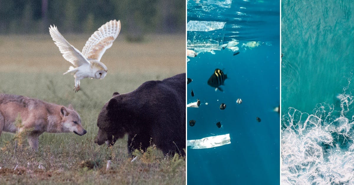 List: Poetry & Fiction | Curated by Mad Midori | Medium