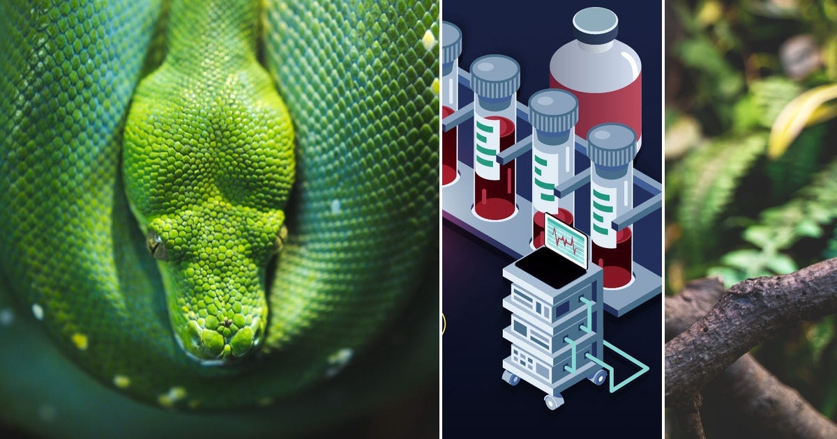 List: Pythonic | Curated by BHD | Medium