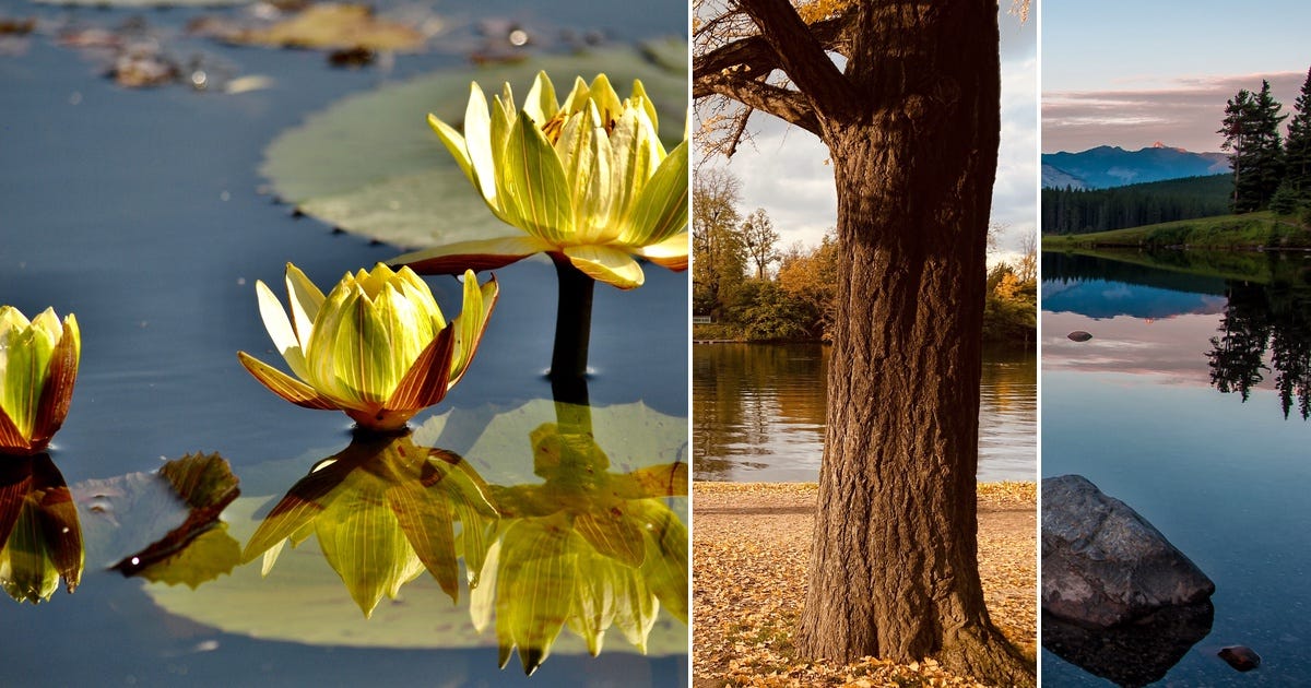 List: Cracking the LeetCode 100 | Curated by Meryll Cruz | Medium