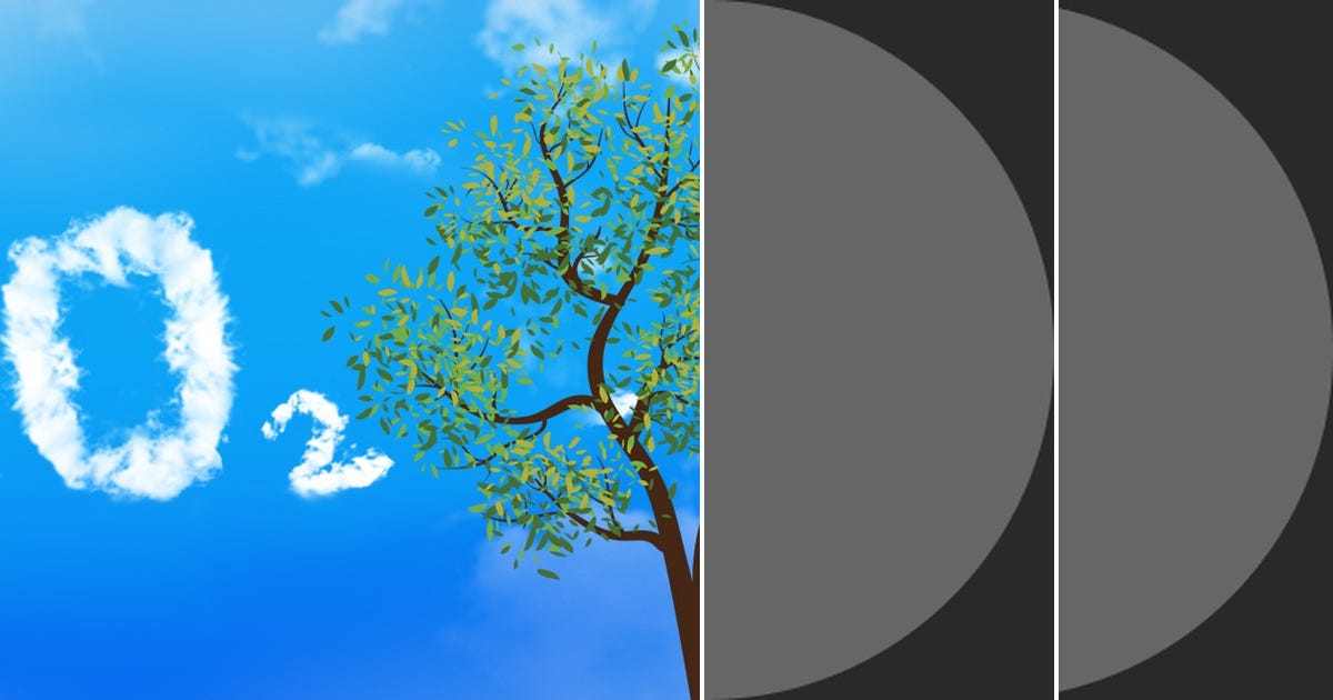 List: Environment | Curated by Chiefmonkey | Medium