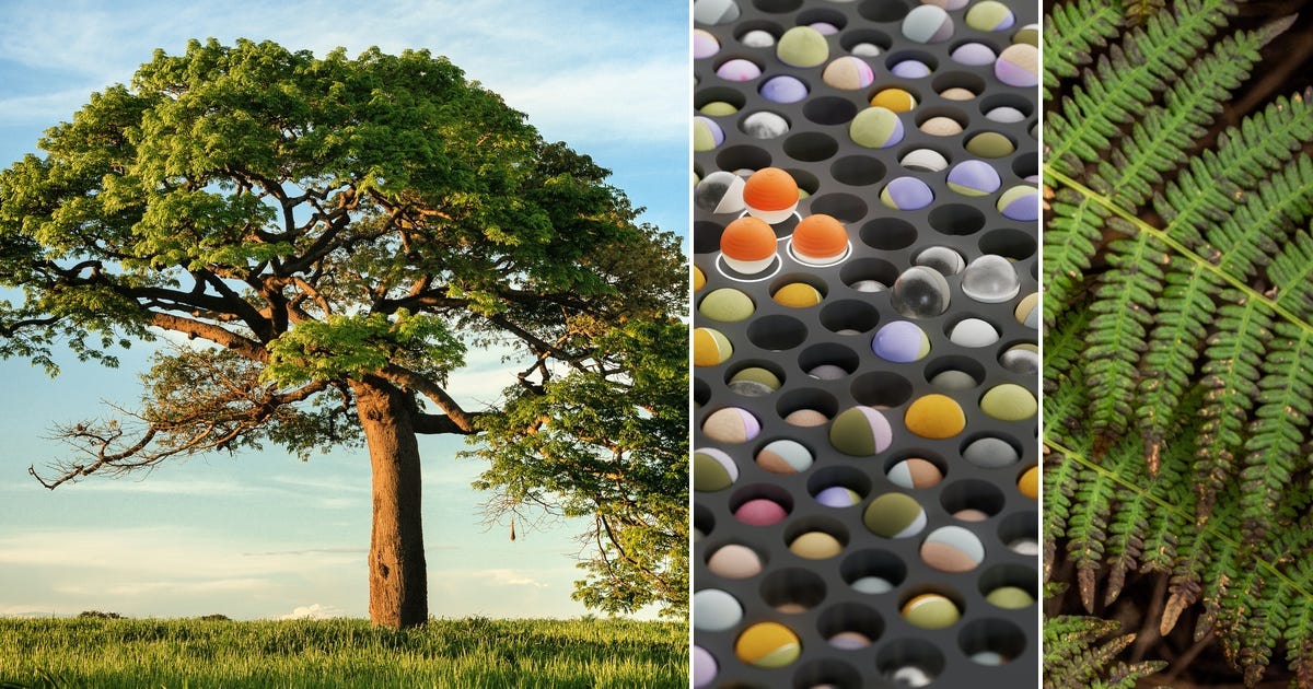 List: xAI | Curated by Femi Monehin | Medium