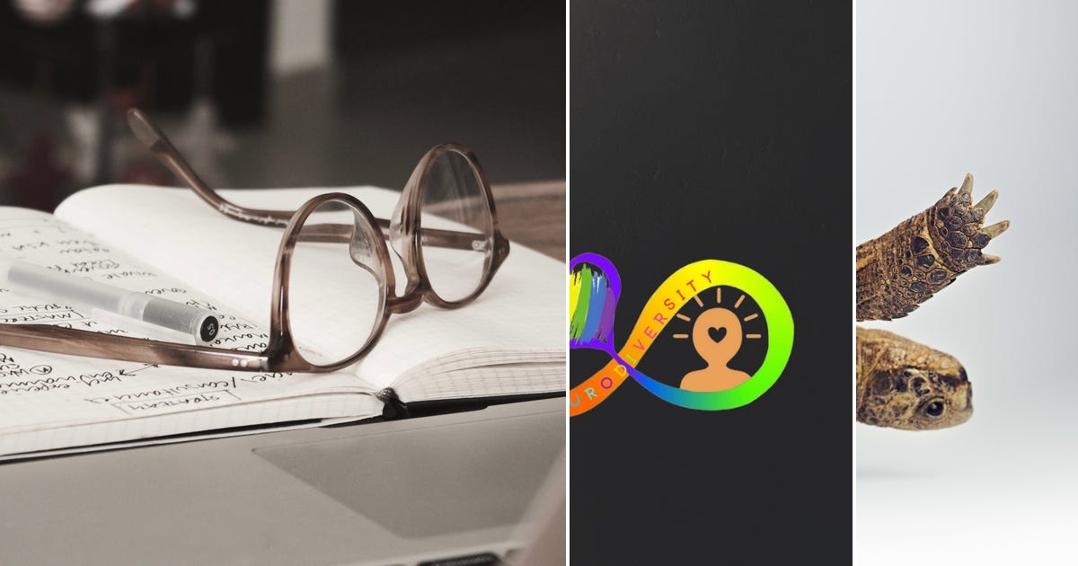 List: ADHD/Productivity | Curated by Tim McDonnell | Medium