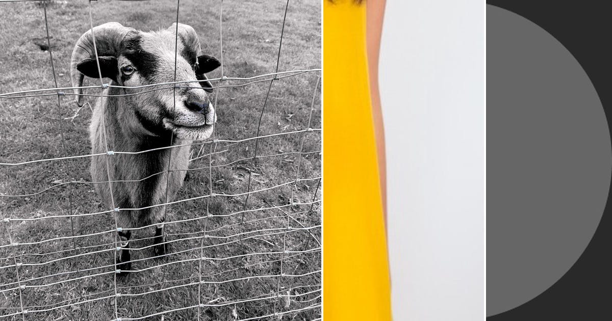 List: SMMA | Curated by Mel | Medium