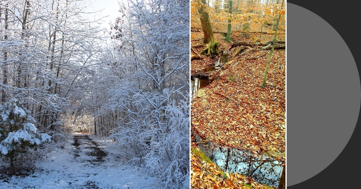 List: Nature Posts | Curated by Amanda Payne | Medium