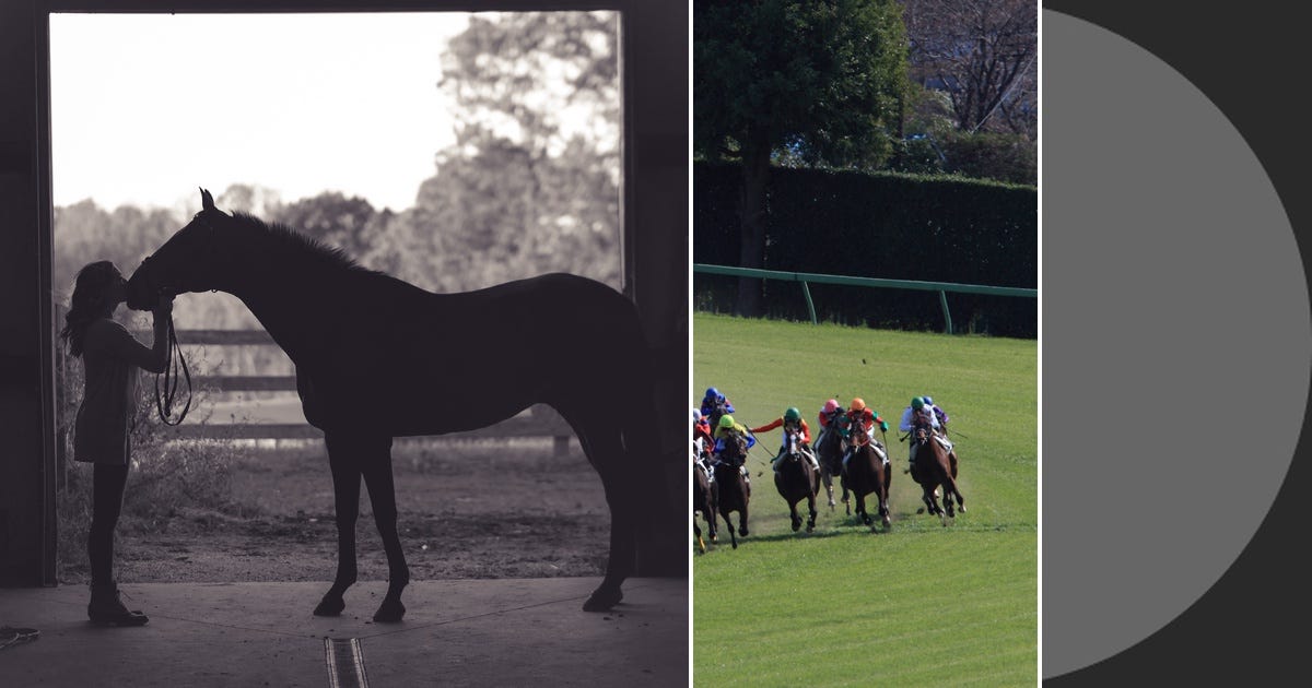 List: Horse Racing Machine Learning | Curated by Joseph Loo | Medium