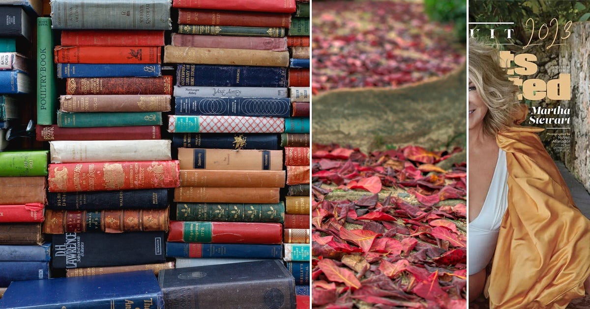 List: Aging | Curated by Joyce Mcc | Medium