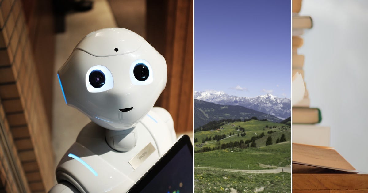 List: Data Collection and Processing | Curated by SealTiger | Medium