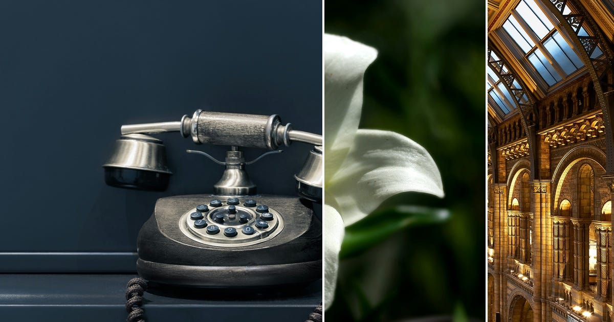 List: Flash Fiction | Curated by Eva MacInnes | Medium