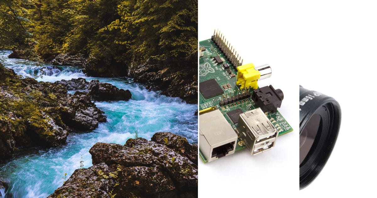 List: Raspberry | Curated by David Billingsley | Medium