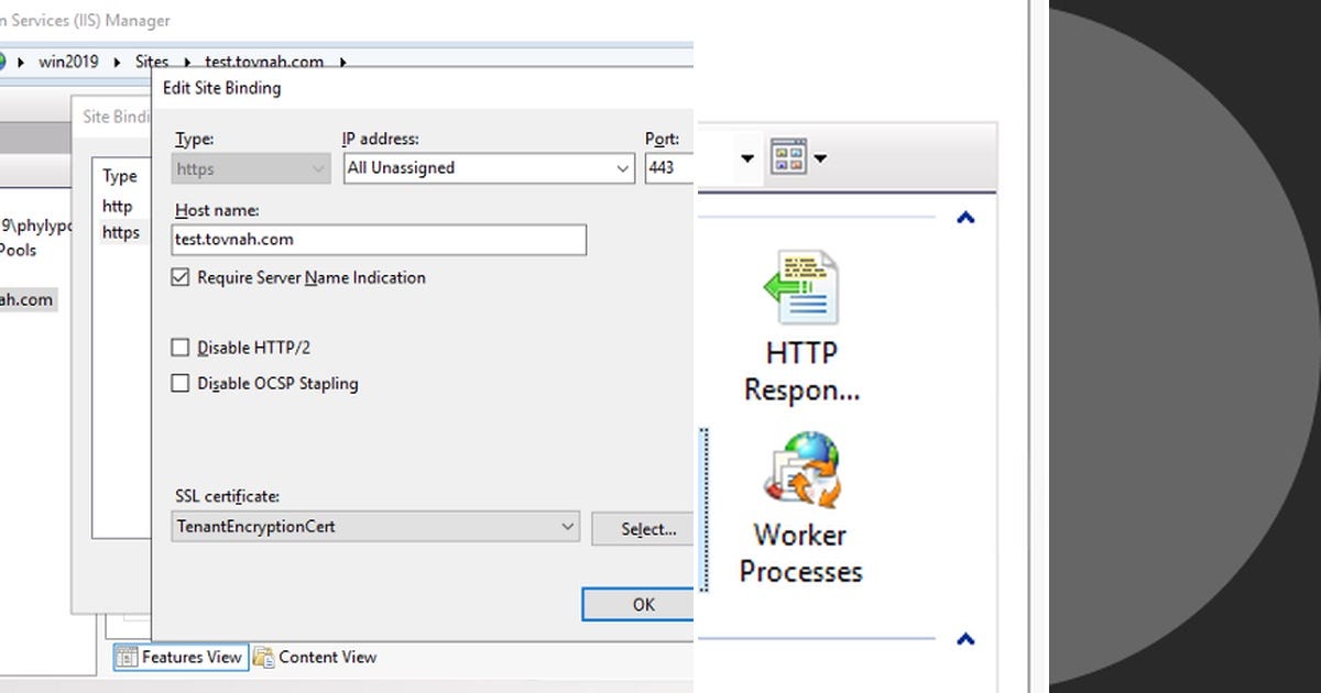 List: Security | Curated by Paola González Montoya | Medium