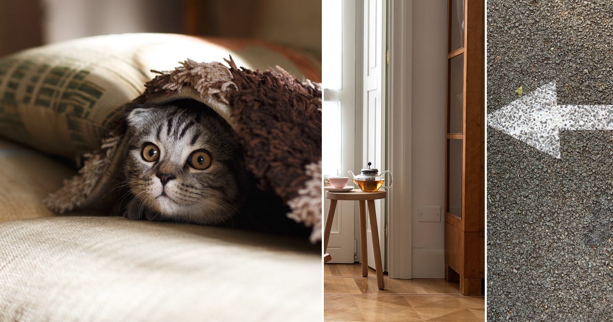 List: Saved in Perpetuity | Curated by Jeff Moskovitz | Medium