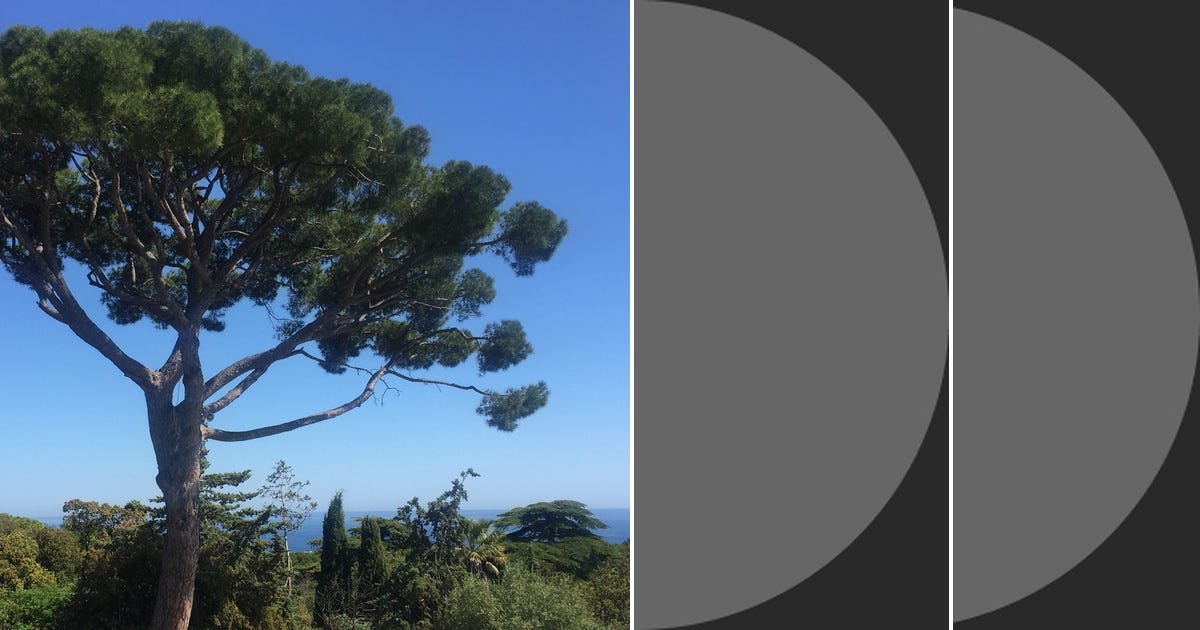 List: Algorithm | Curated by Chris Wan | Medium