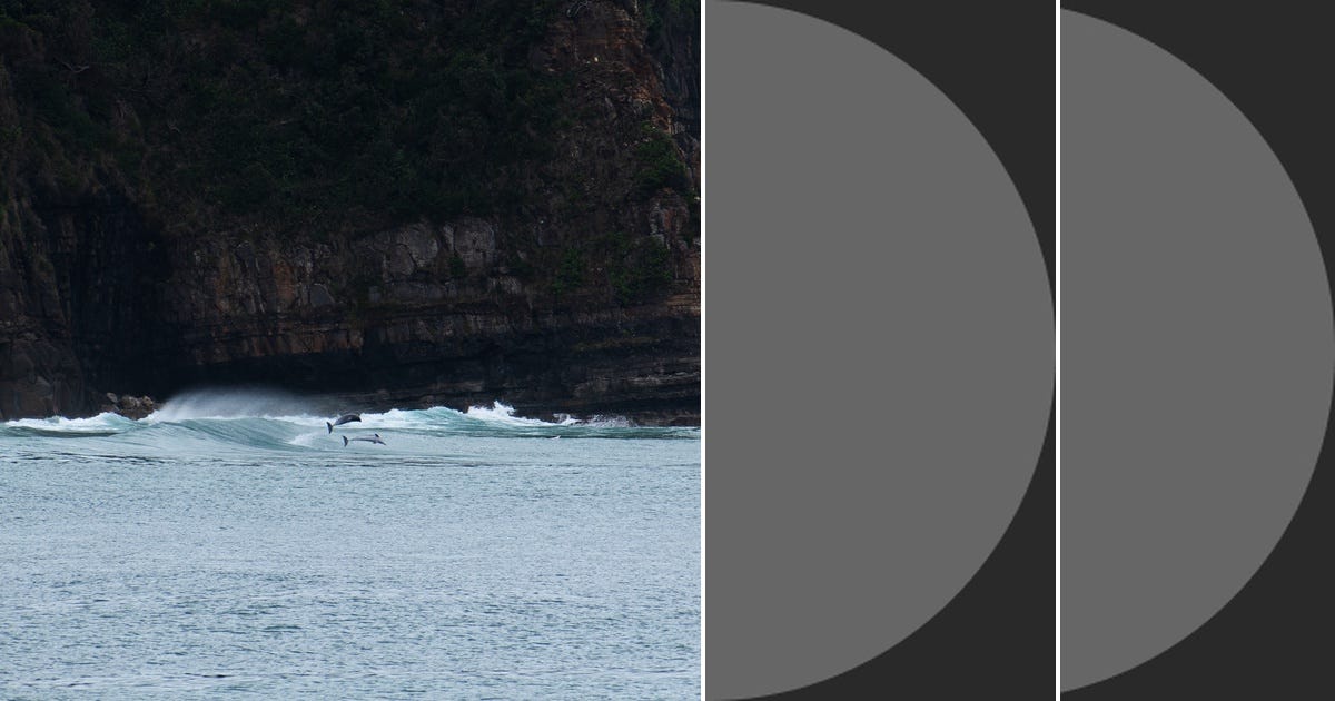 List: GAIA | Curated by Juan Palop-Casado | Medium