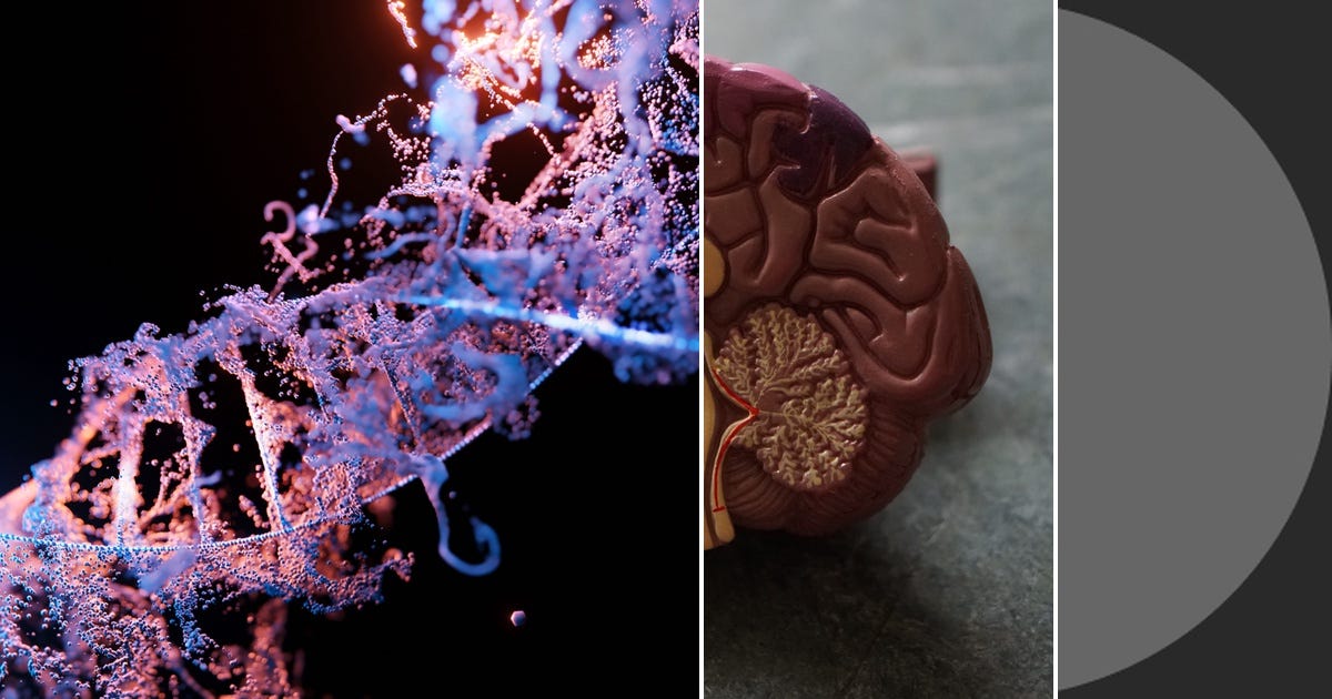 List: dddd | Curated by Serdar | Medium