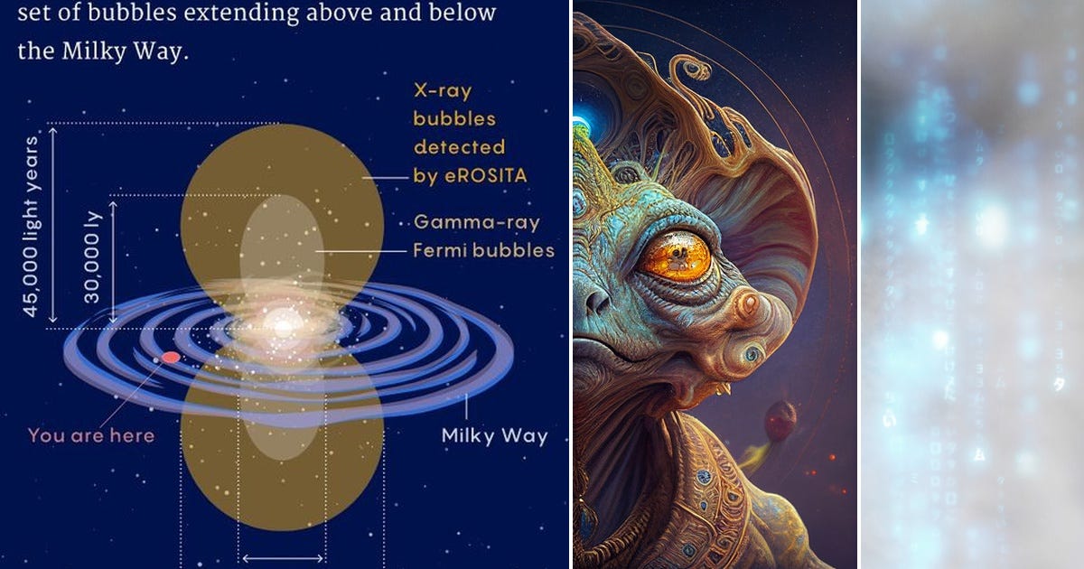 List: Observer/Watcher | Curated by James Radecki | Medium