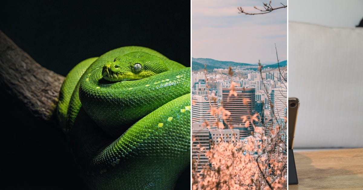 List: DynamoDB | Curated by Rob Finneran | Medium