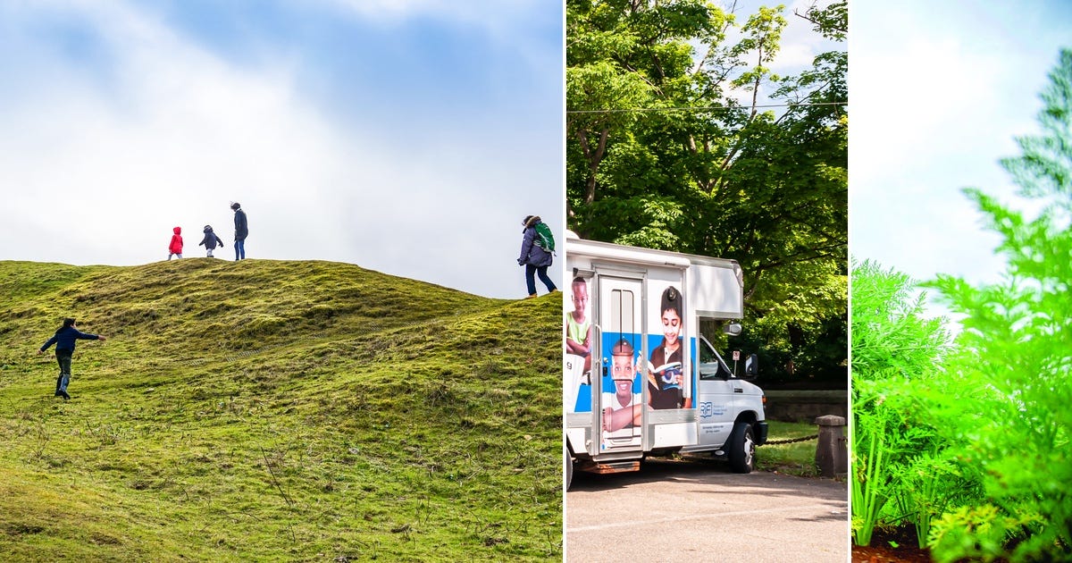 List: Summer at the Library | Curated by EveryLibrary | Medium