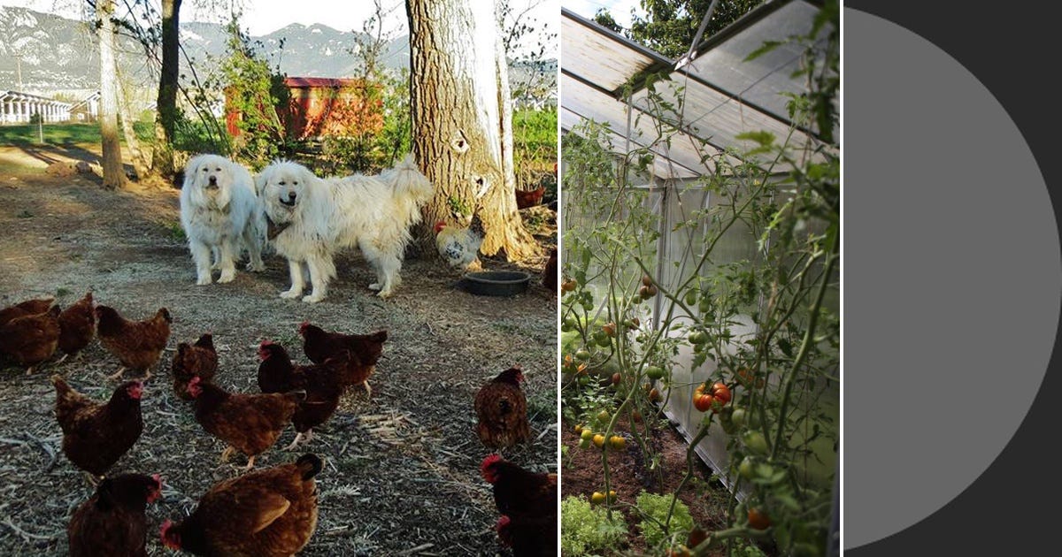 List: WWOOF planning | Curated by Annaliese Brown | Medium