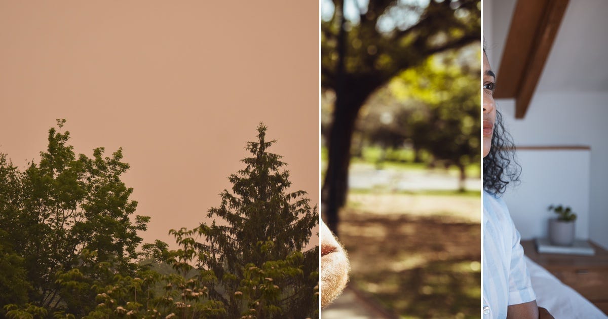 List: Life | Curated by Dmitry Rumyantsev | Medium