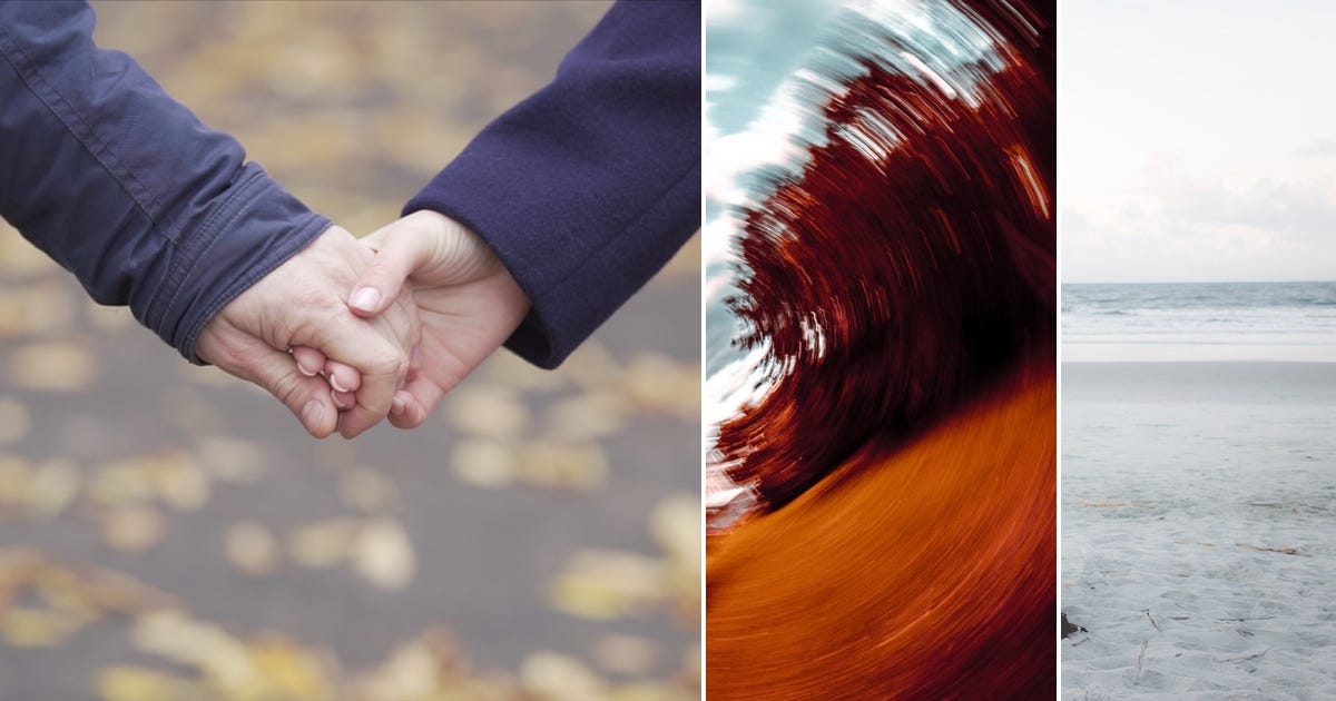 List: Attachment Science | Curated by Kimberly “Kimmy” Sullivan | Medium