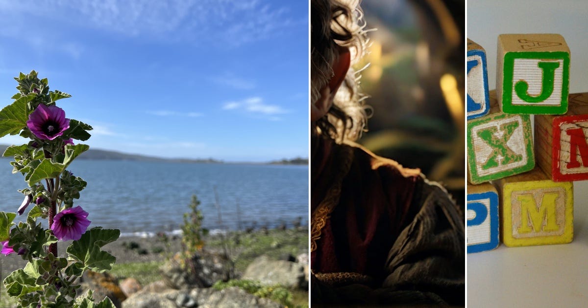 List: ML | Curated by Dmitry B | Medium