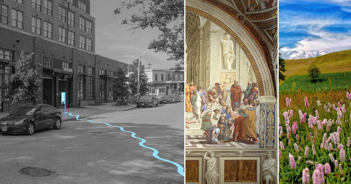 List: Environment | Curated by Reb Rowe | Medium