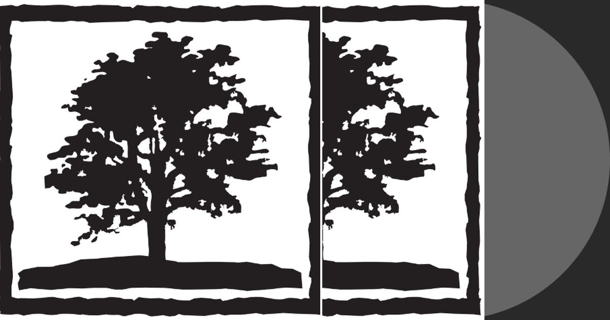 List: The Druid Magic Handbook | Curated by Olliver Harper | Medium