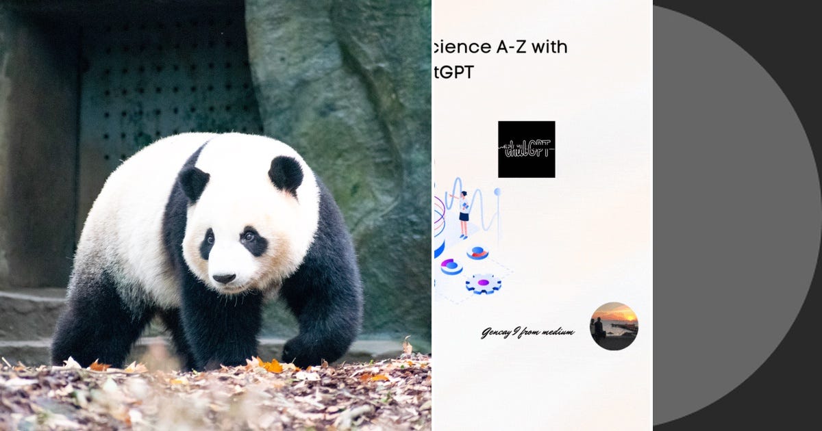 List: ChatGPT | Curated by Victoria Sukar | Medium