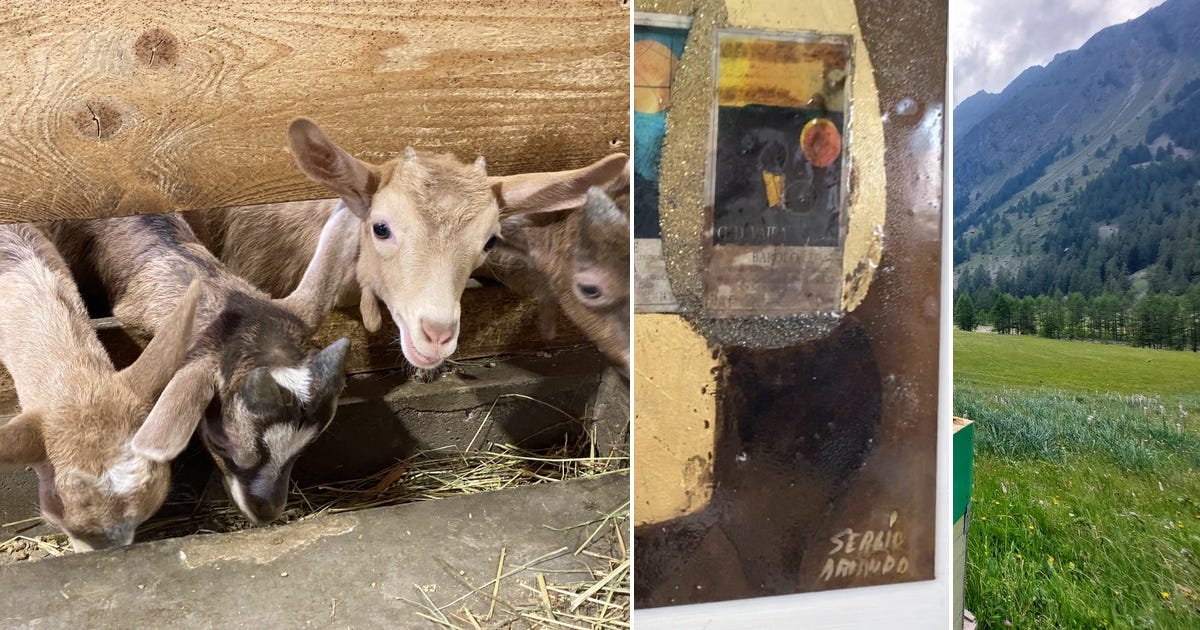 List: siccità | Curated by Magzine | Medium