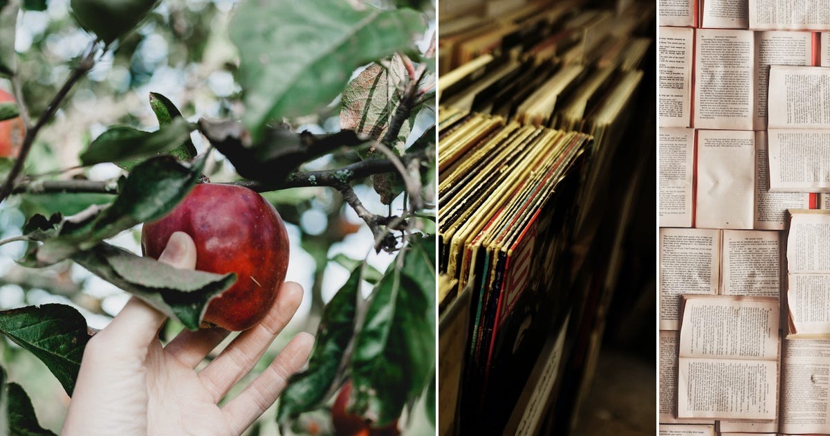 List: Python | Curated by Mohamed Ndiaye | Medium