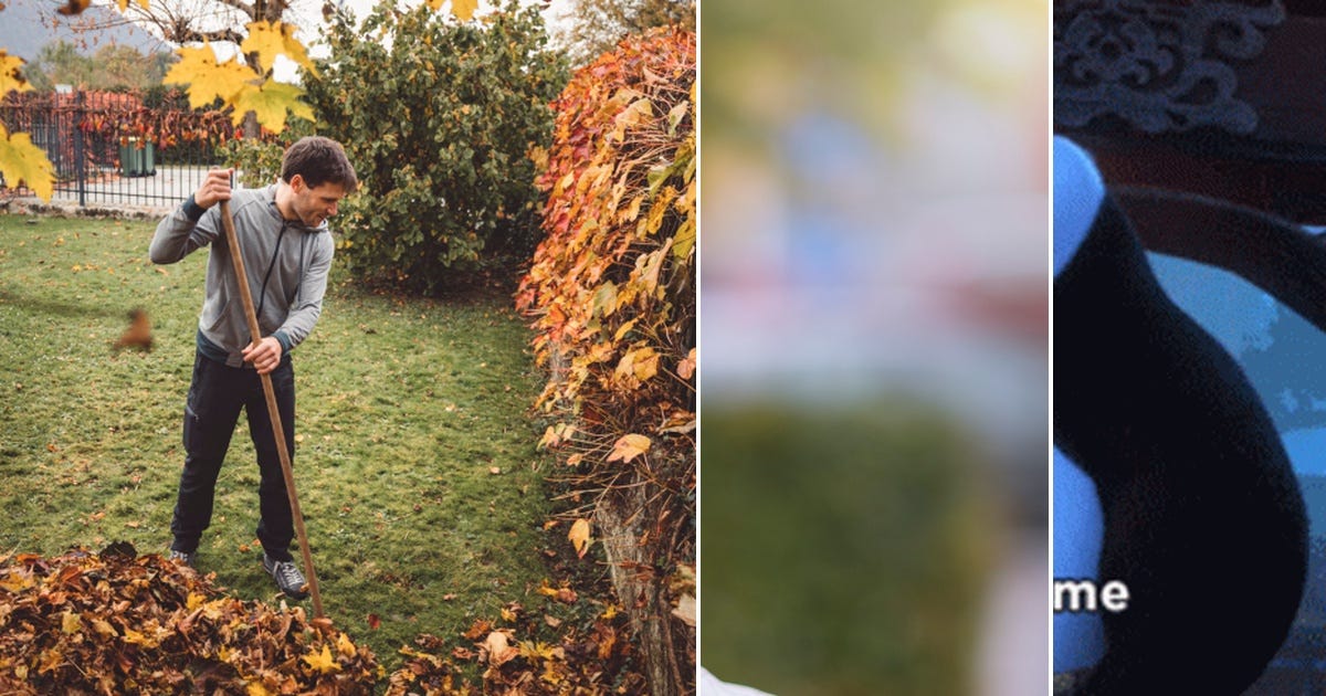 List: GRACE | Curated by joanne naulls | Medium