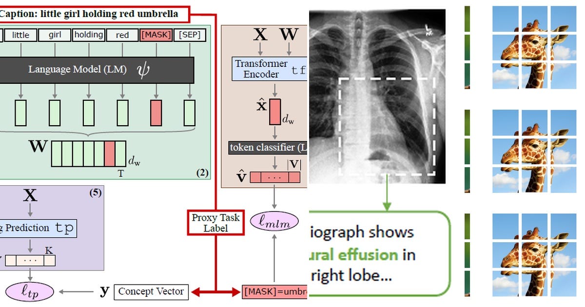 List: Self/Un-supervised Learning | Curated by Steven Liu | Medium