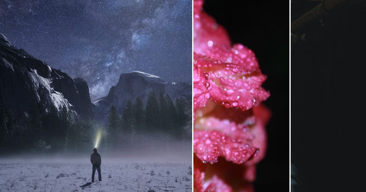 List: My Poems | Curated by Willow Reed | Medium