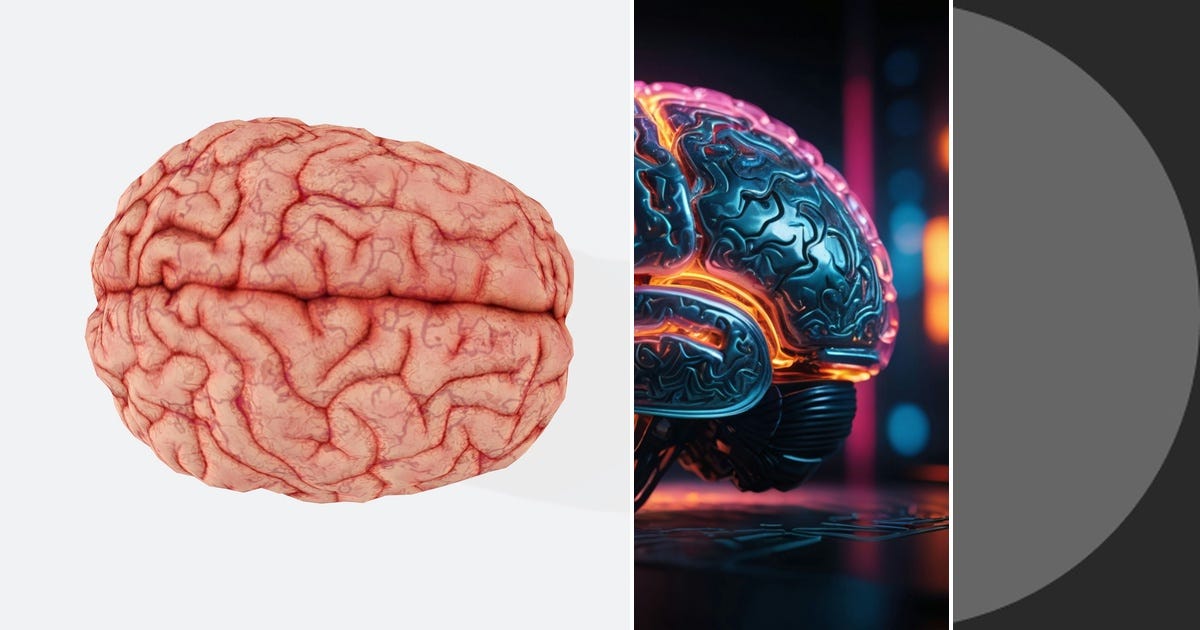 List: Harvard Neuroscience Notes Part 1: The Electrical Properties ...