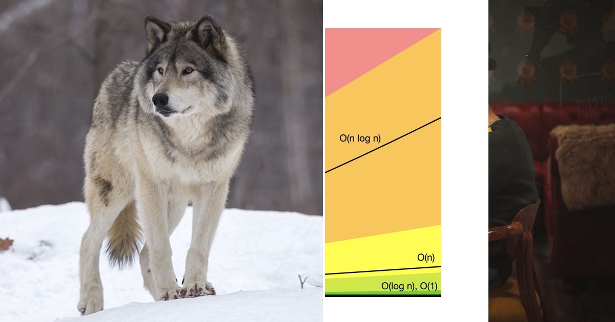 List: Python | Curated by Mithilesh Gautam | Medium