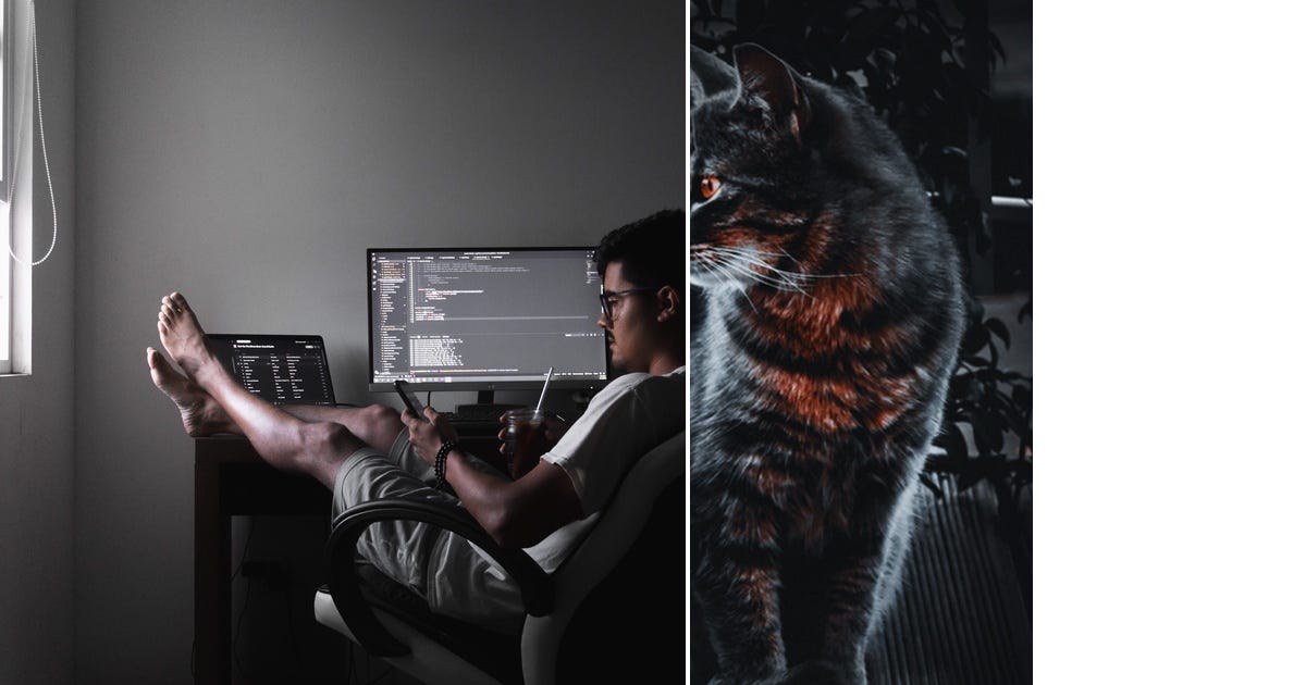 List: Nestjs | Curated by Ernest Tan | Medium