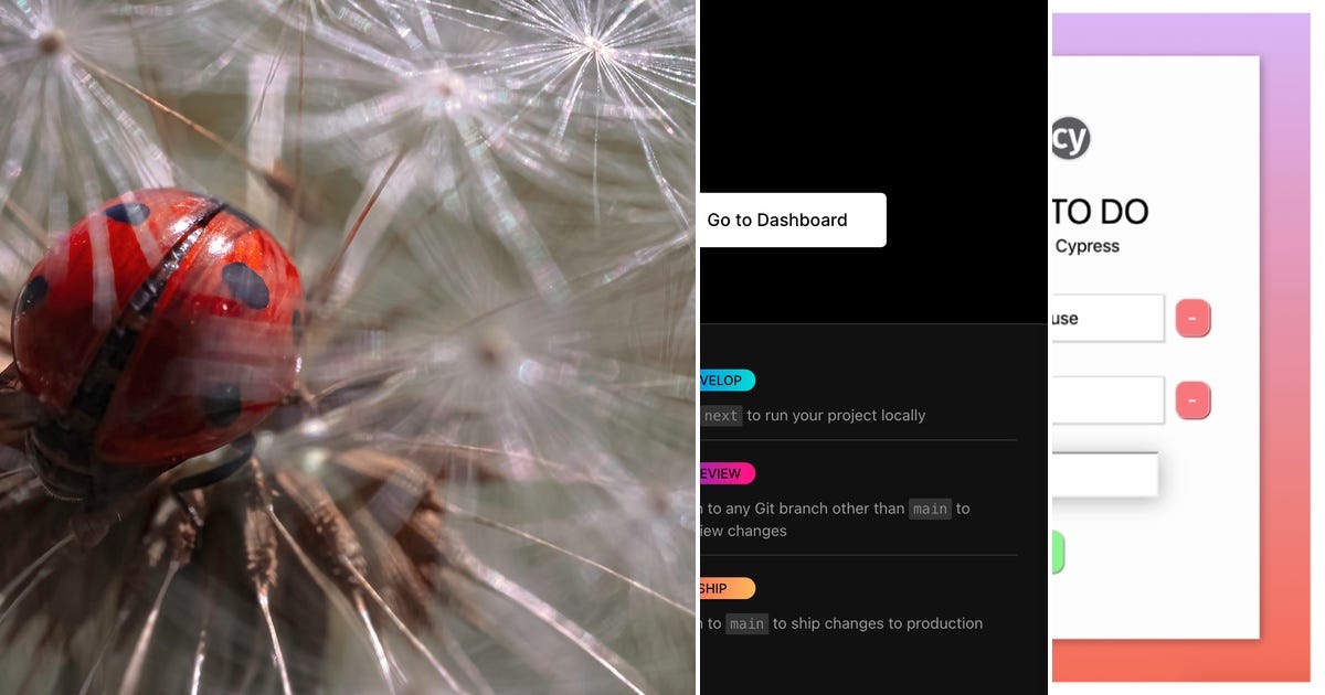 List: TESTING | Curated by Hannah Eichelsdoerfer | Medium