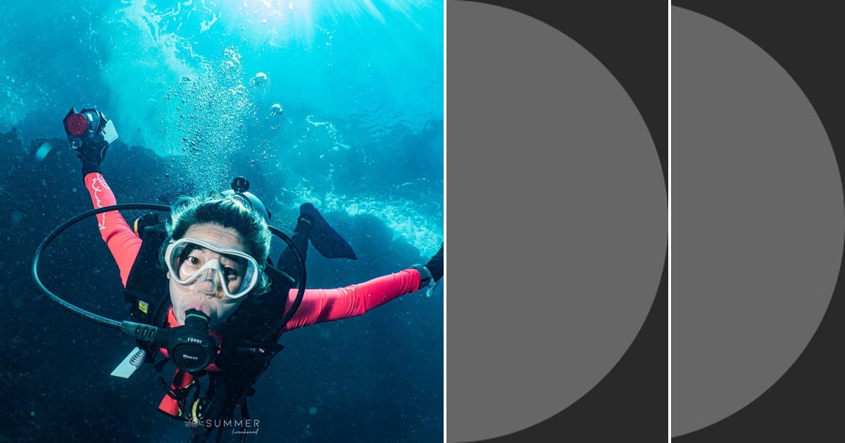 List: Diving | Curated by WEST | Medium