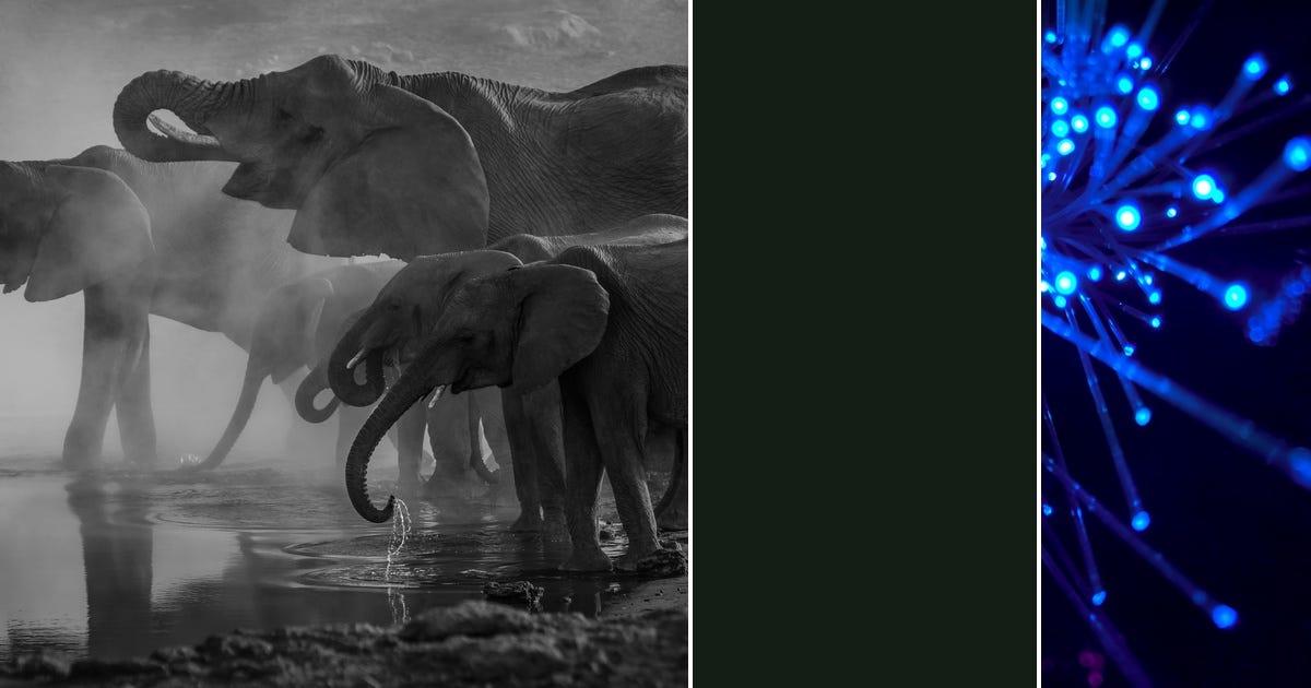 List: databases | Curated by Rodrigo Scotto | Medium